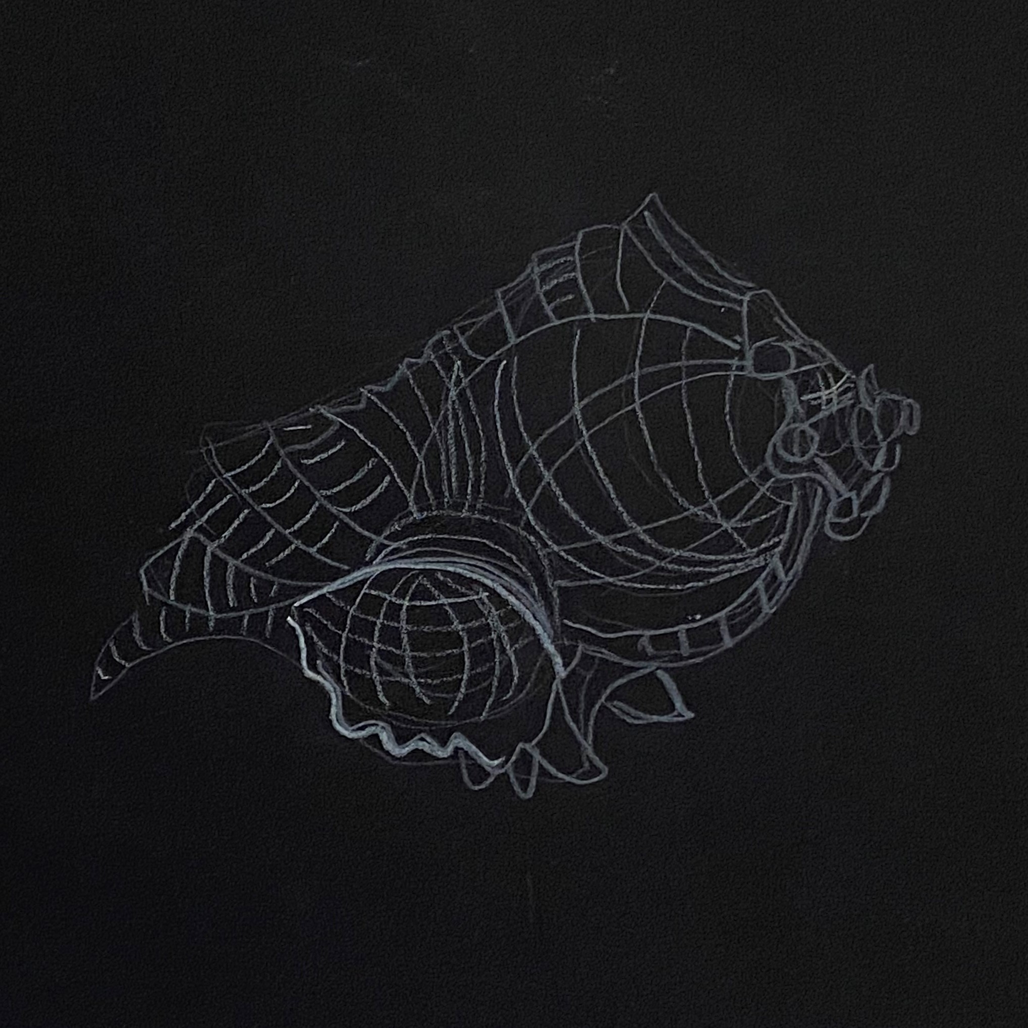 Cross Contour Drawing Lesson – Foundations - Art With Miss Linda