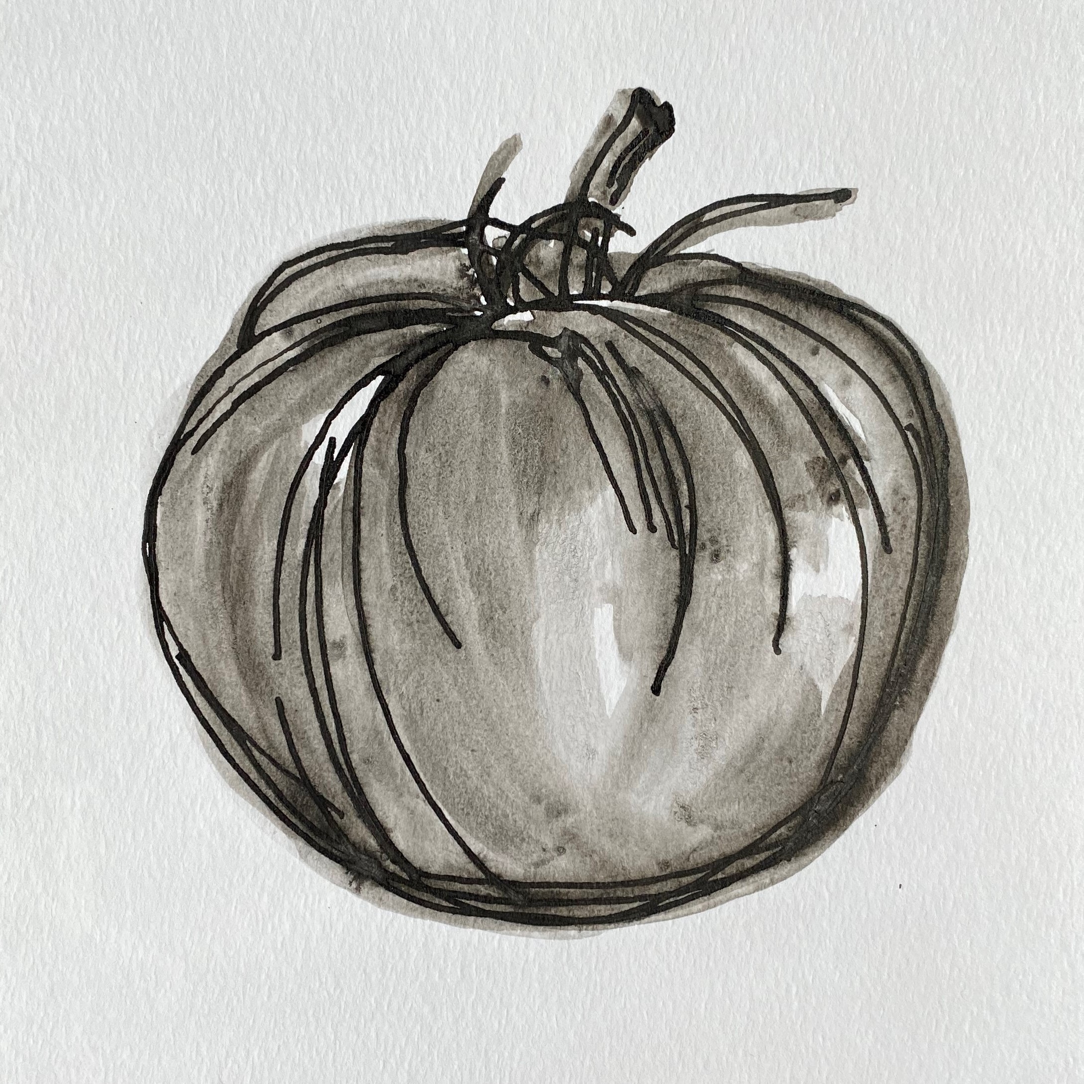Fruit Illustrations using India Ink - Art With Miss Linda