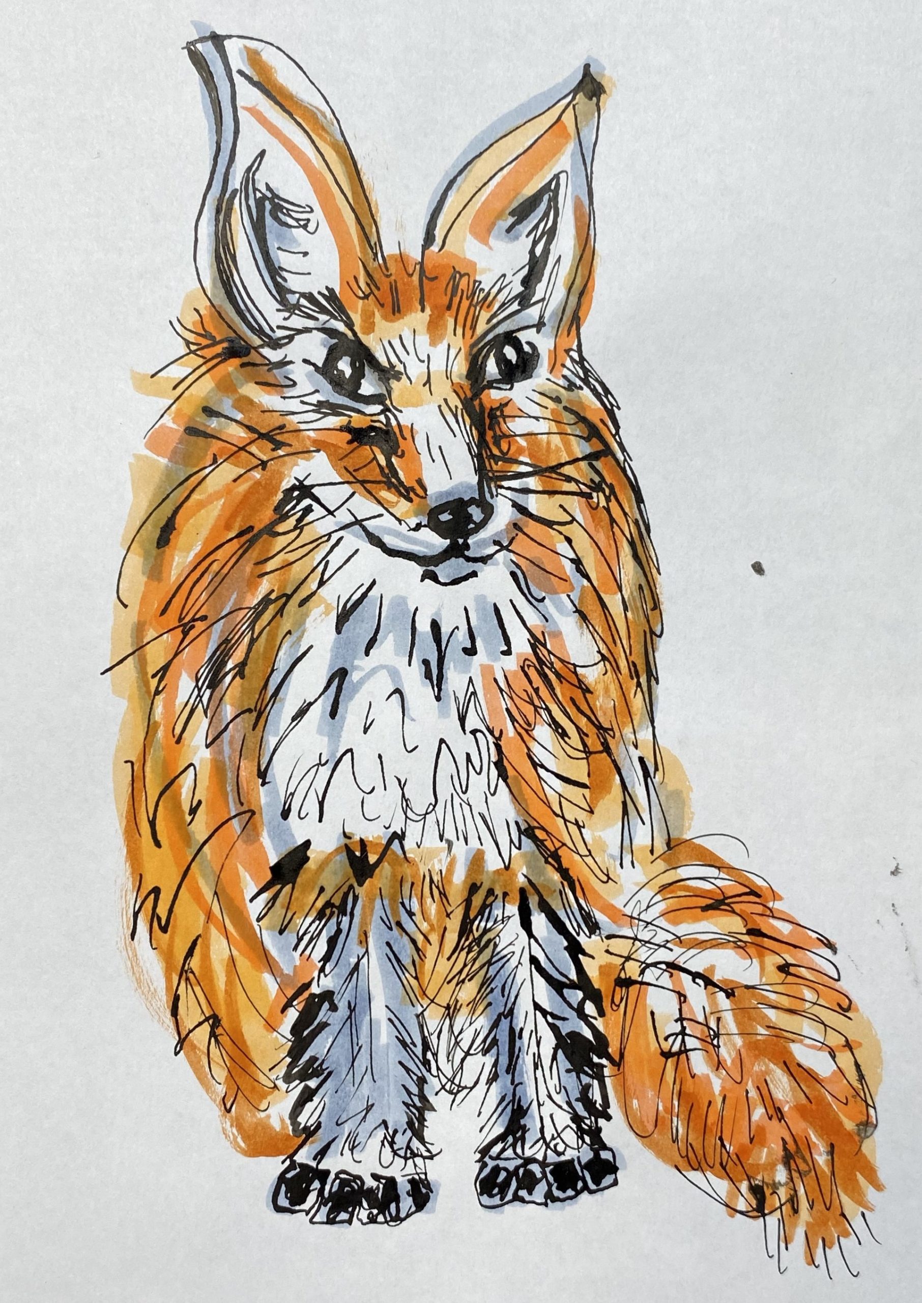 Ruling Pen, Ink, and Marker Drawings - Art With Miss Linda