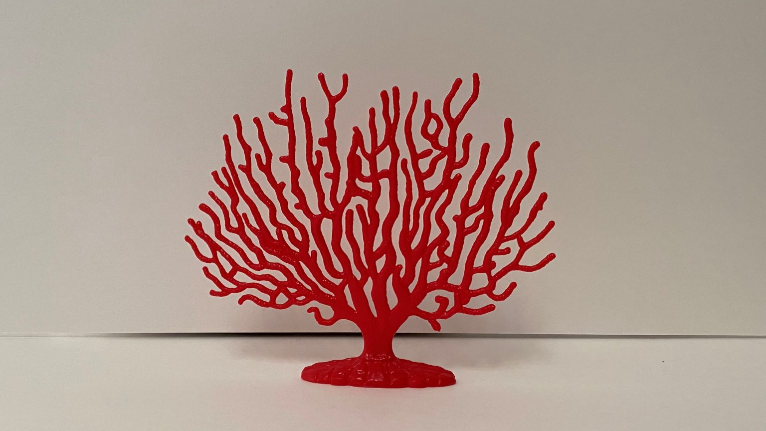 Pure Contour Drawing Lesson – Foundations - Art With Miss Linda