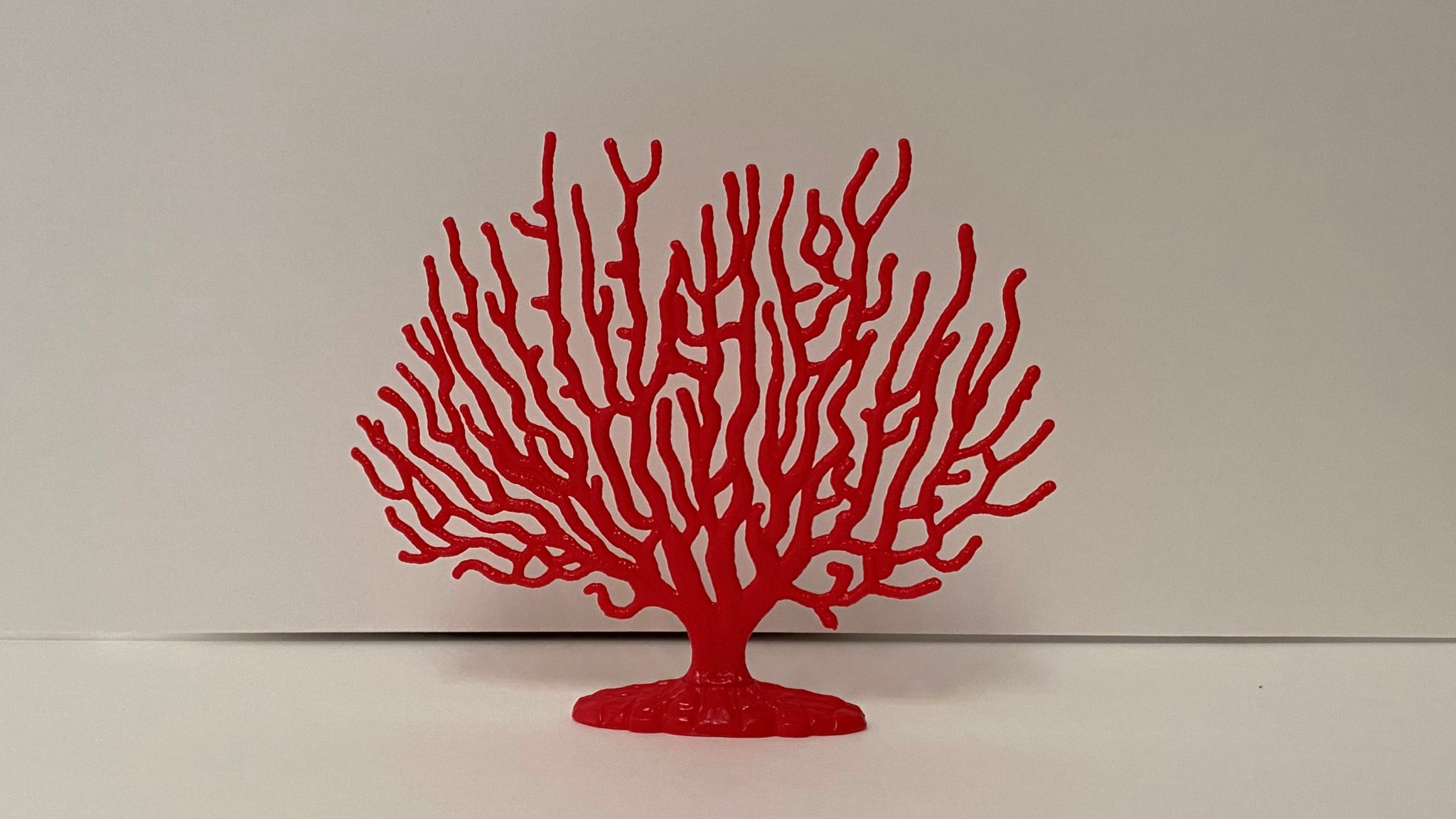 Pure Contour Drawing Lesson – Foundations - Art With Miss Linda