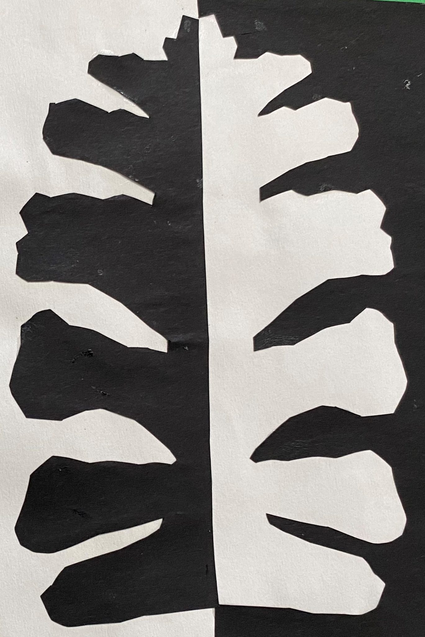 Notan Symmetry Art Lesson – Module 1 - Art With Miss Linda