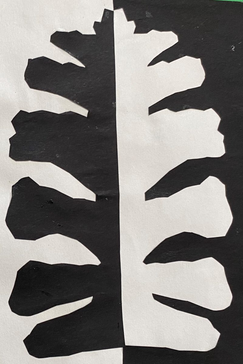 Notan Symmetry Art Lesson – Module 1 - Art With Miss Linda