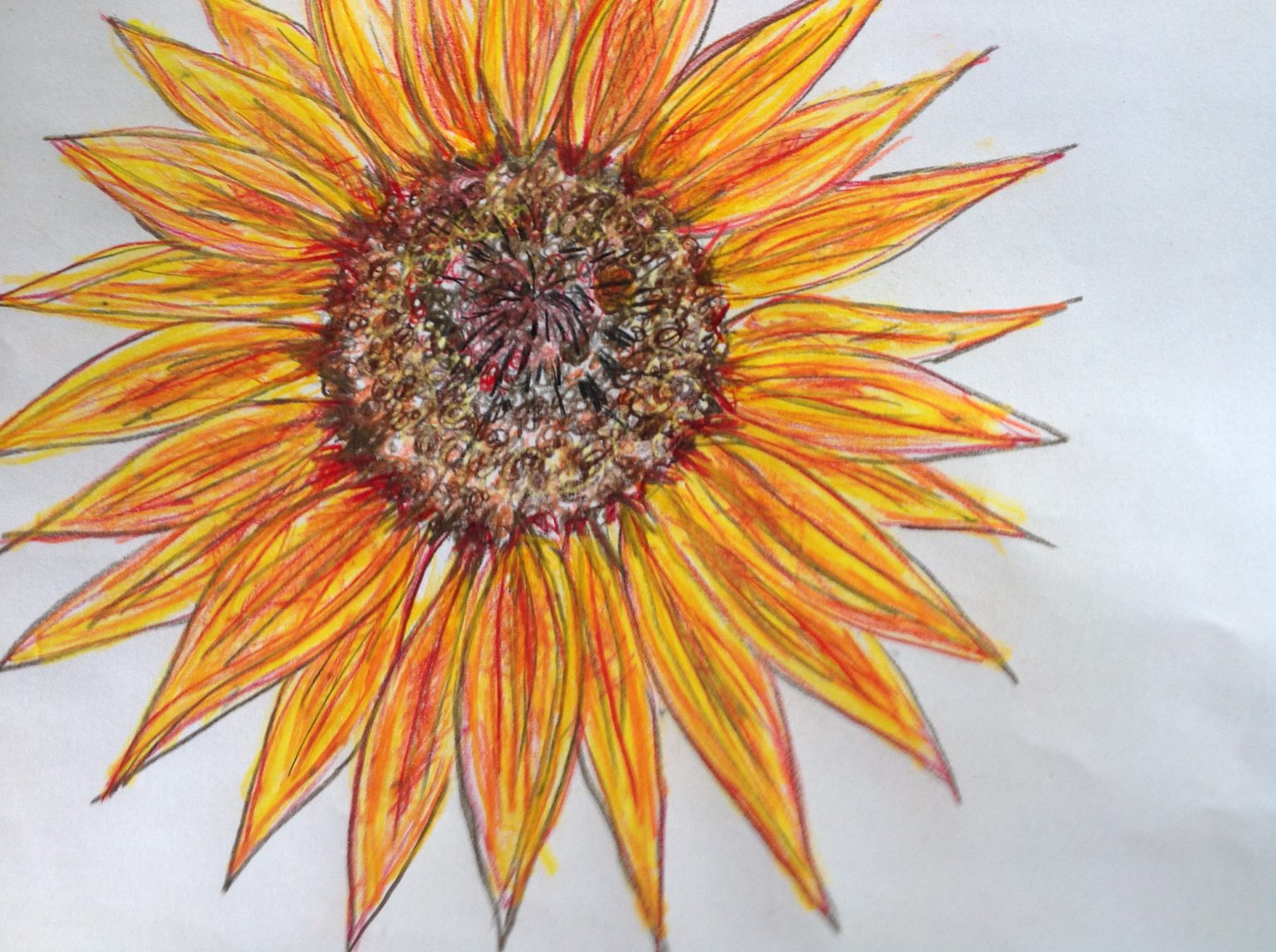 Colored Pencil Drawing Lesson – Module 2 - Art With Miss Linda