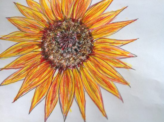 Colored Pencil Drawing Lesson – Module 2 - Art With Miss Linda