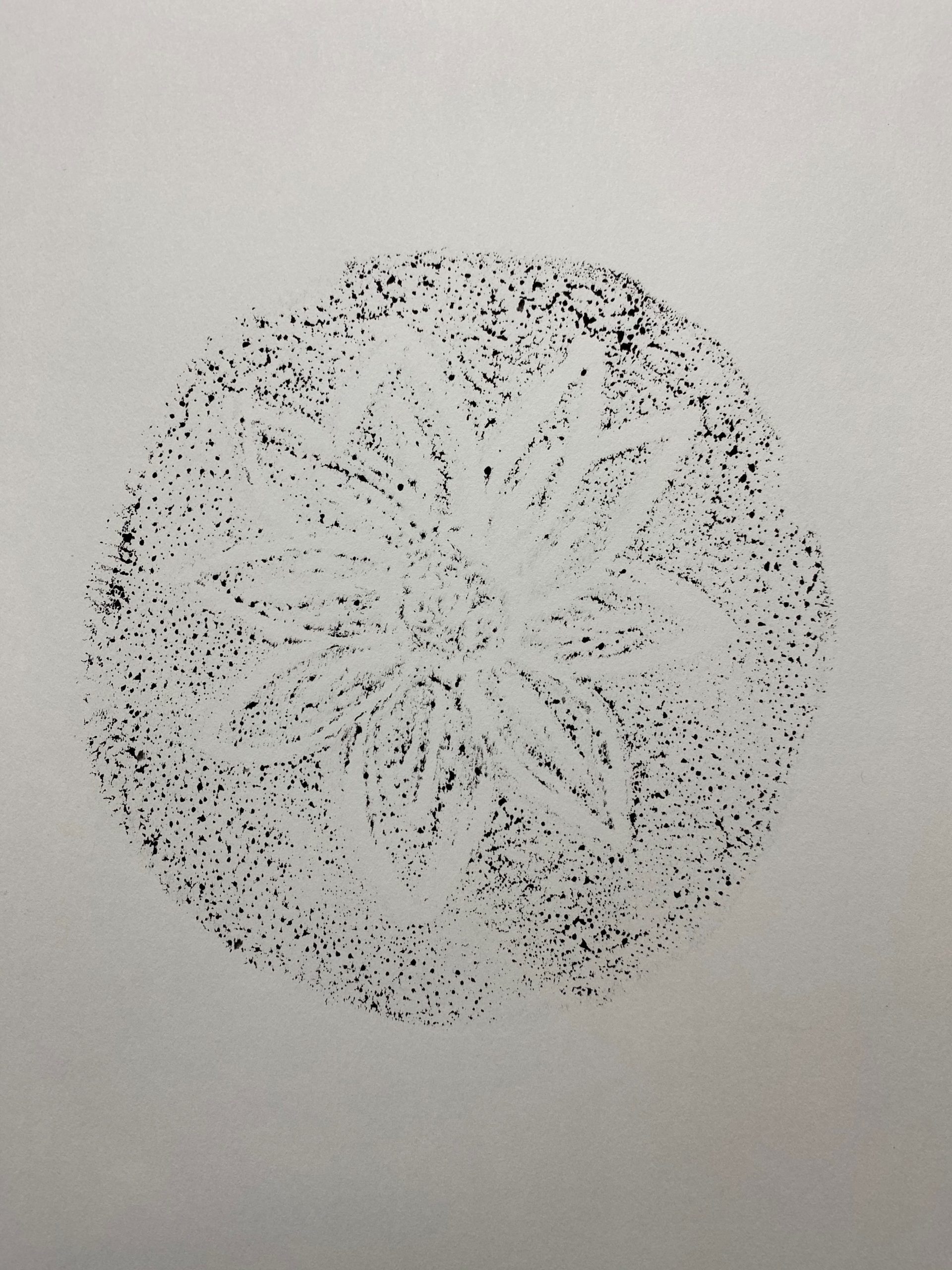Module 4 (Printmaking) Supplements - Art With Miss Linda