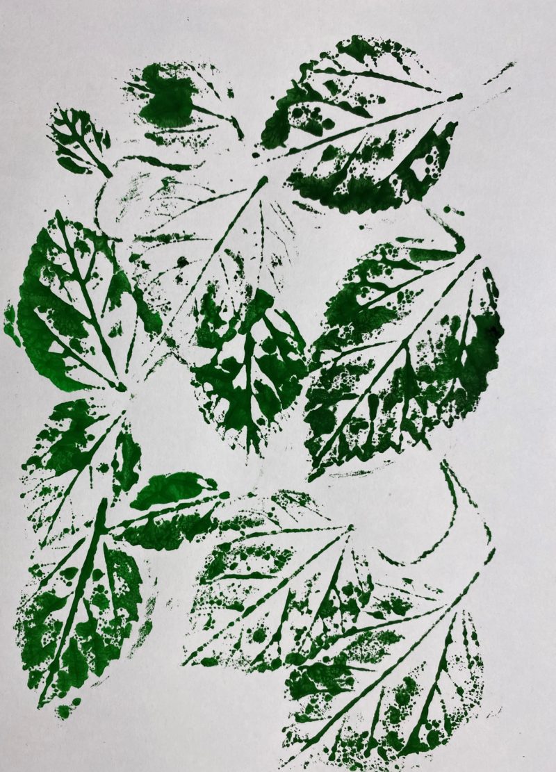 Monoprinting with Leaves – Module 4 - Art With Miss Linda