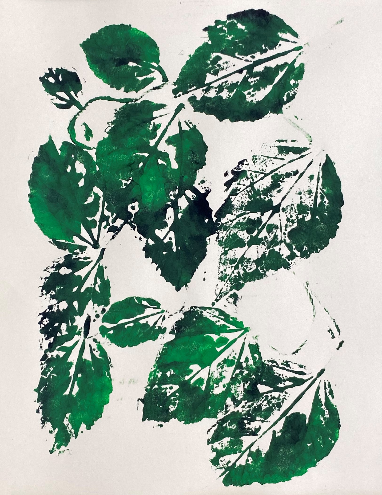 Monoprinting with Leaves – Module 4 - Art With Miss Linda