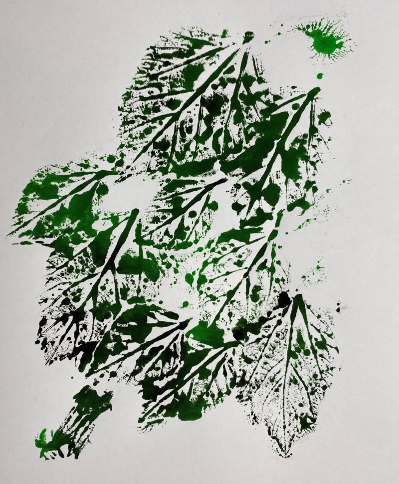 Monoprinting with Leaves – Module 4 - Art With Miss Linda